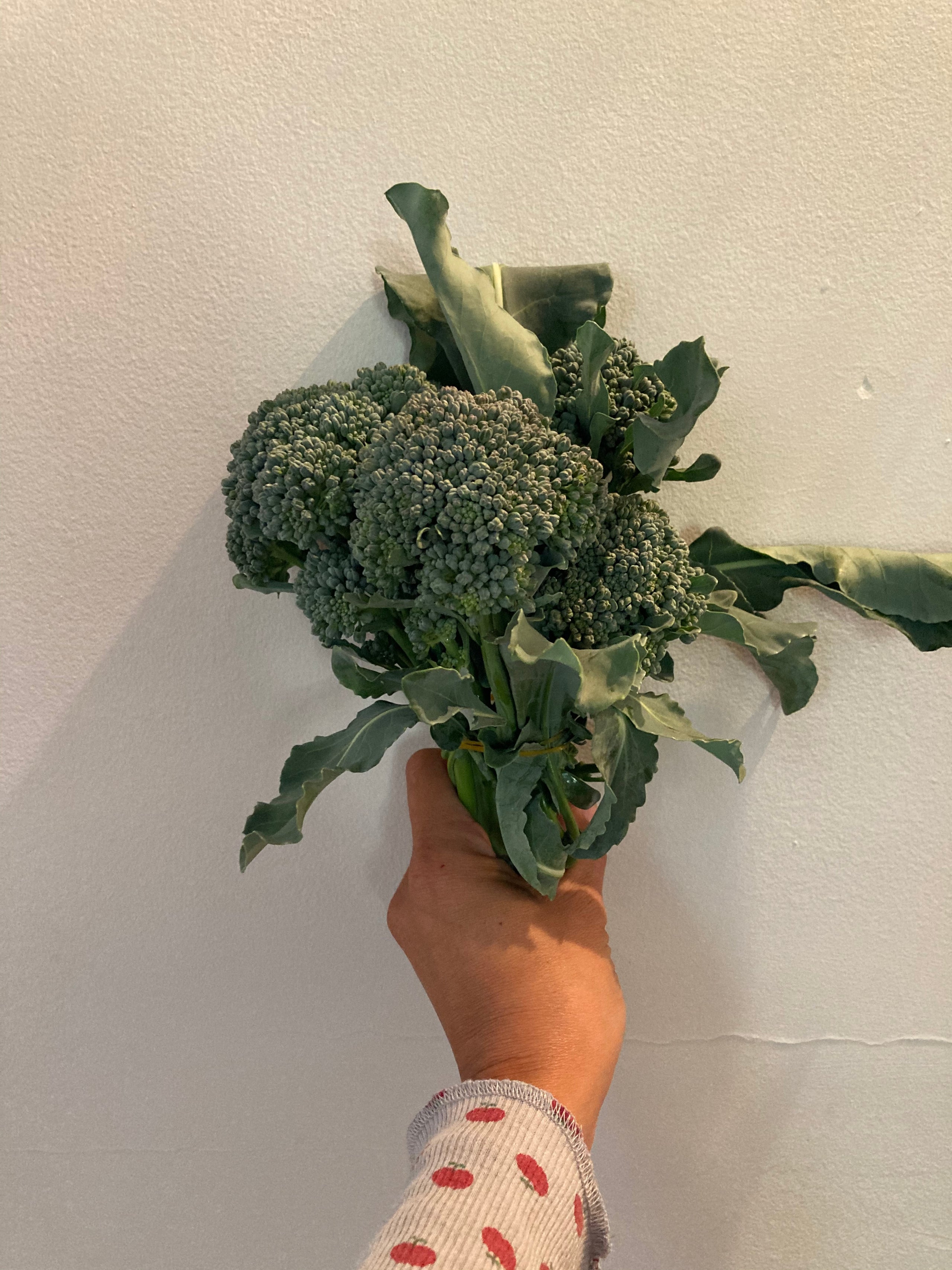 Broccolini | Seafield Farm